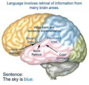 12 Surprising Benefits of Learning a New LanguagePick the Brain ...
